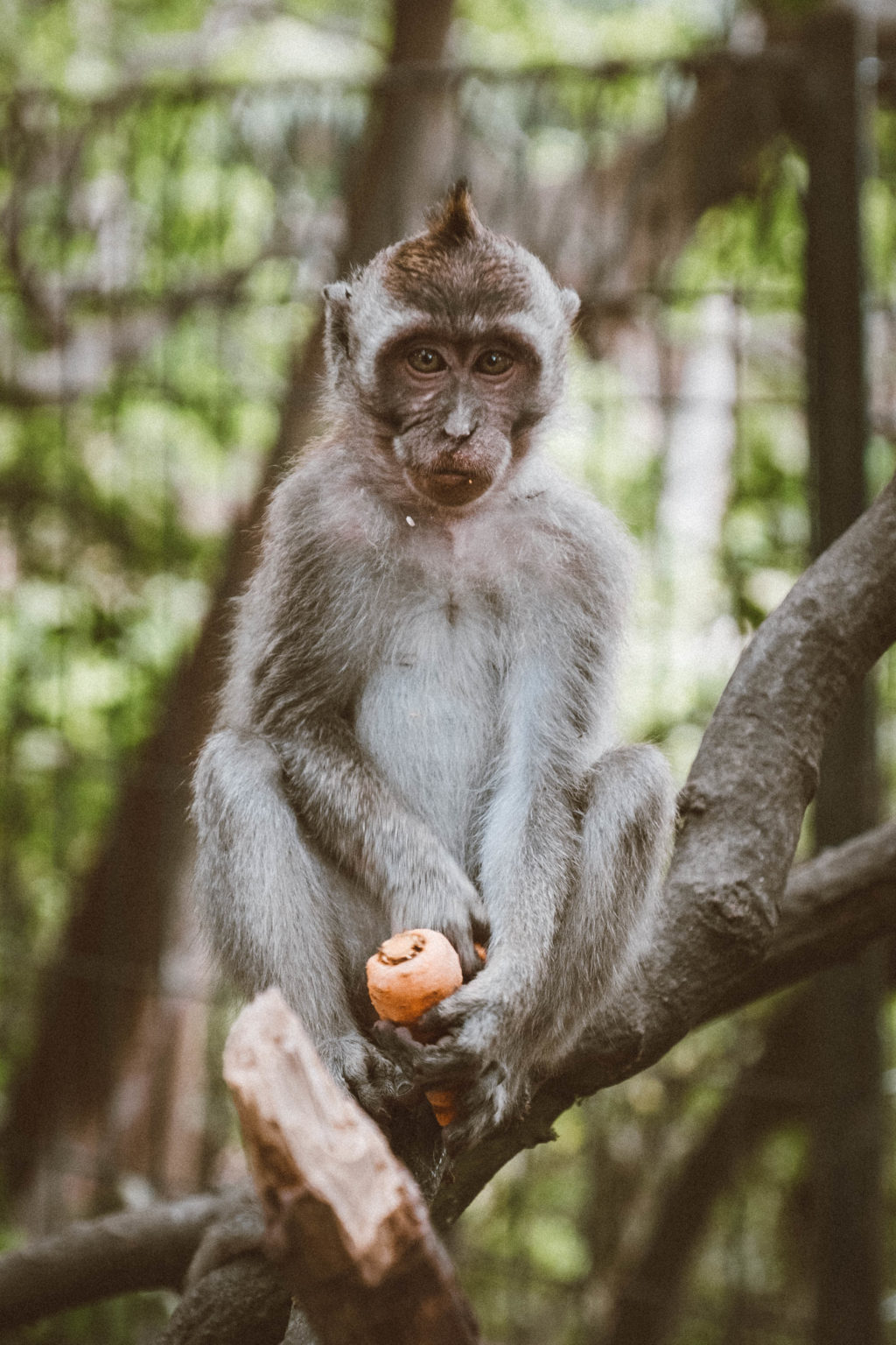 BALI IN 2 WEEKS - TRAVEL ITINERARY - Planes Viajeros